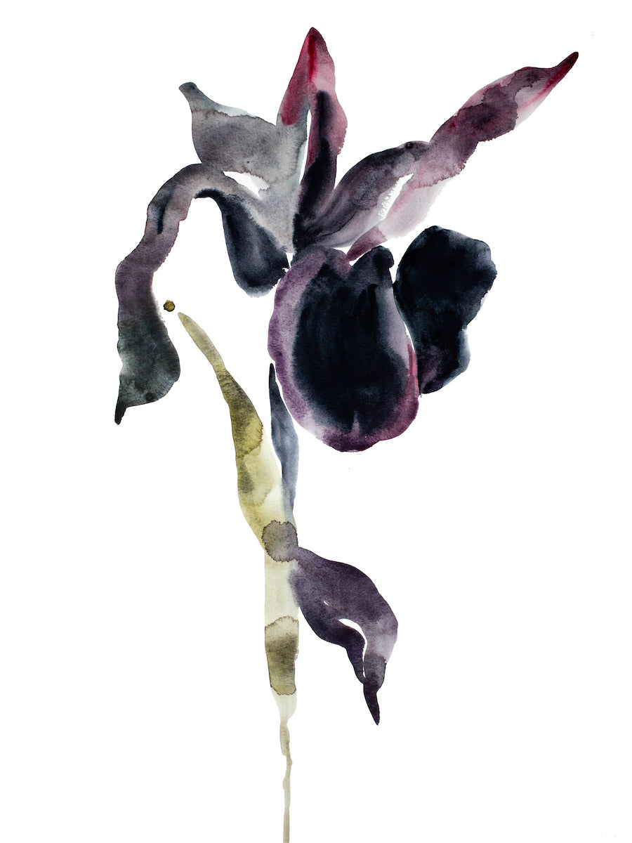 Iris No. 66 - Original Watercolor Floral Painting – Elizabeth Becker Art