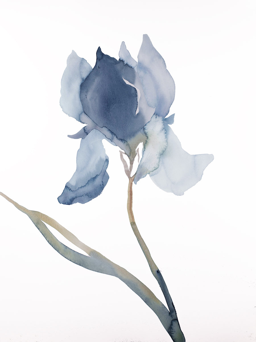 Iris No. 177 - Original Watercolor Floral Painting – Elizabeth Becker Art