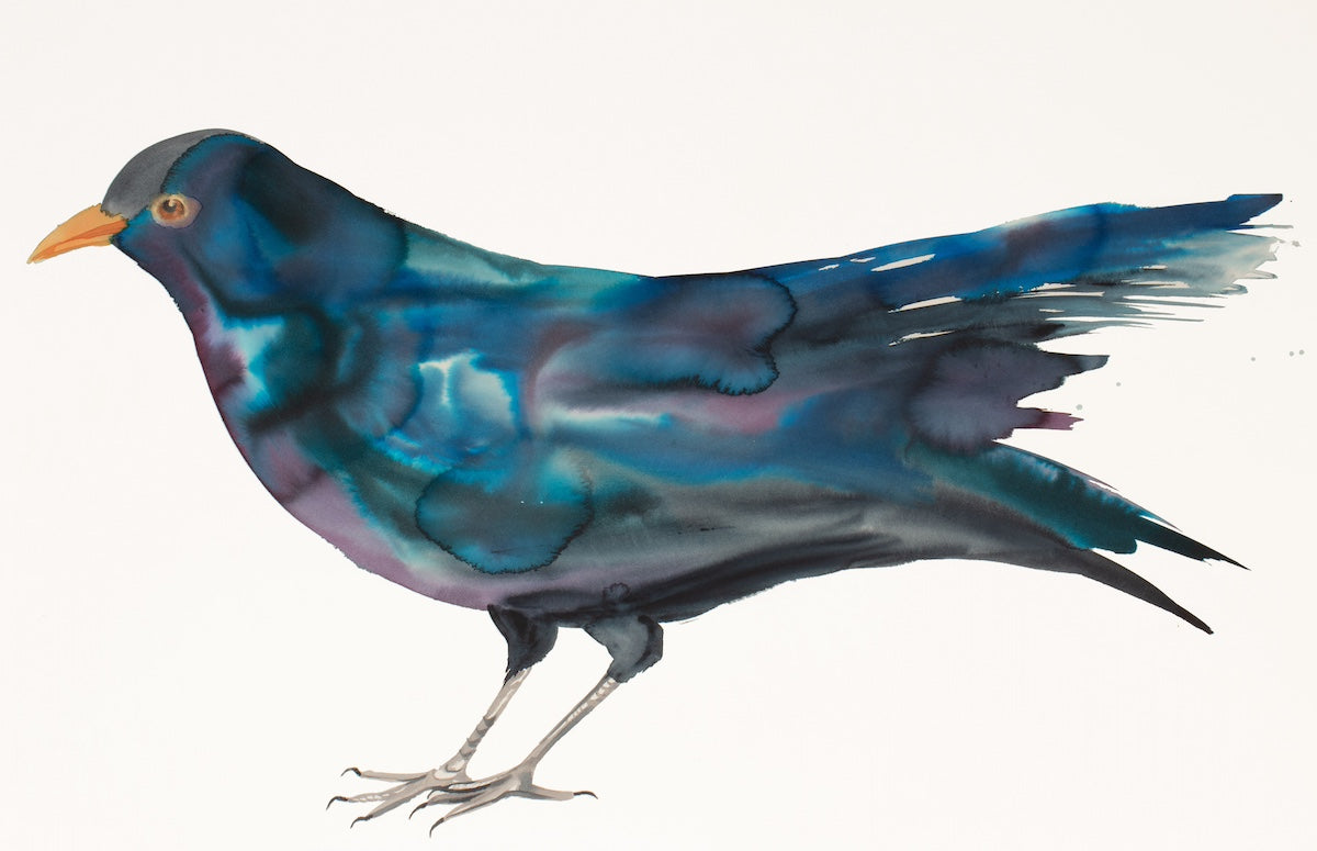 Blackbird - Original Watercolor Painting – Elizabeth Becker Art