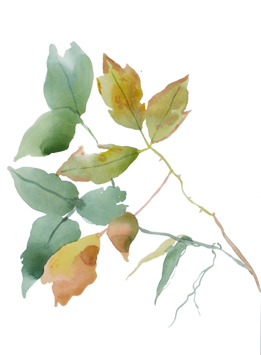 Leaves - Original Watercolor Nature Painting – Elizabeth Becker Art