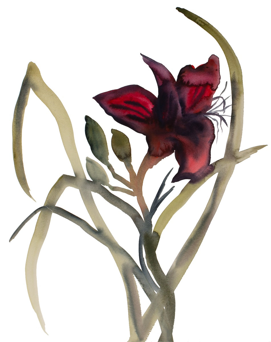 Lily - Original Watercolor Flower Painting – Elizabeth Becker Art