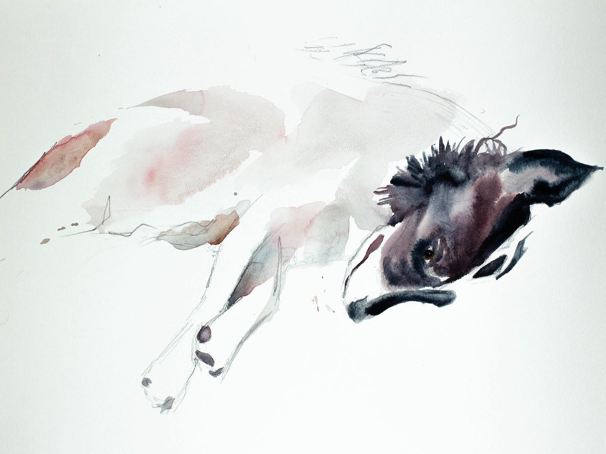 Dog No. 1 - Original Watercolor Border Collie Portrait Painting ...