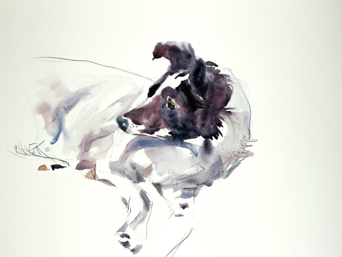 Dog No. 2 - Original Watercolor Border Collie Portrait Painting ...