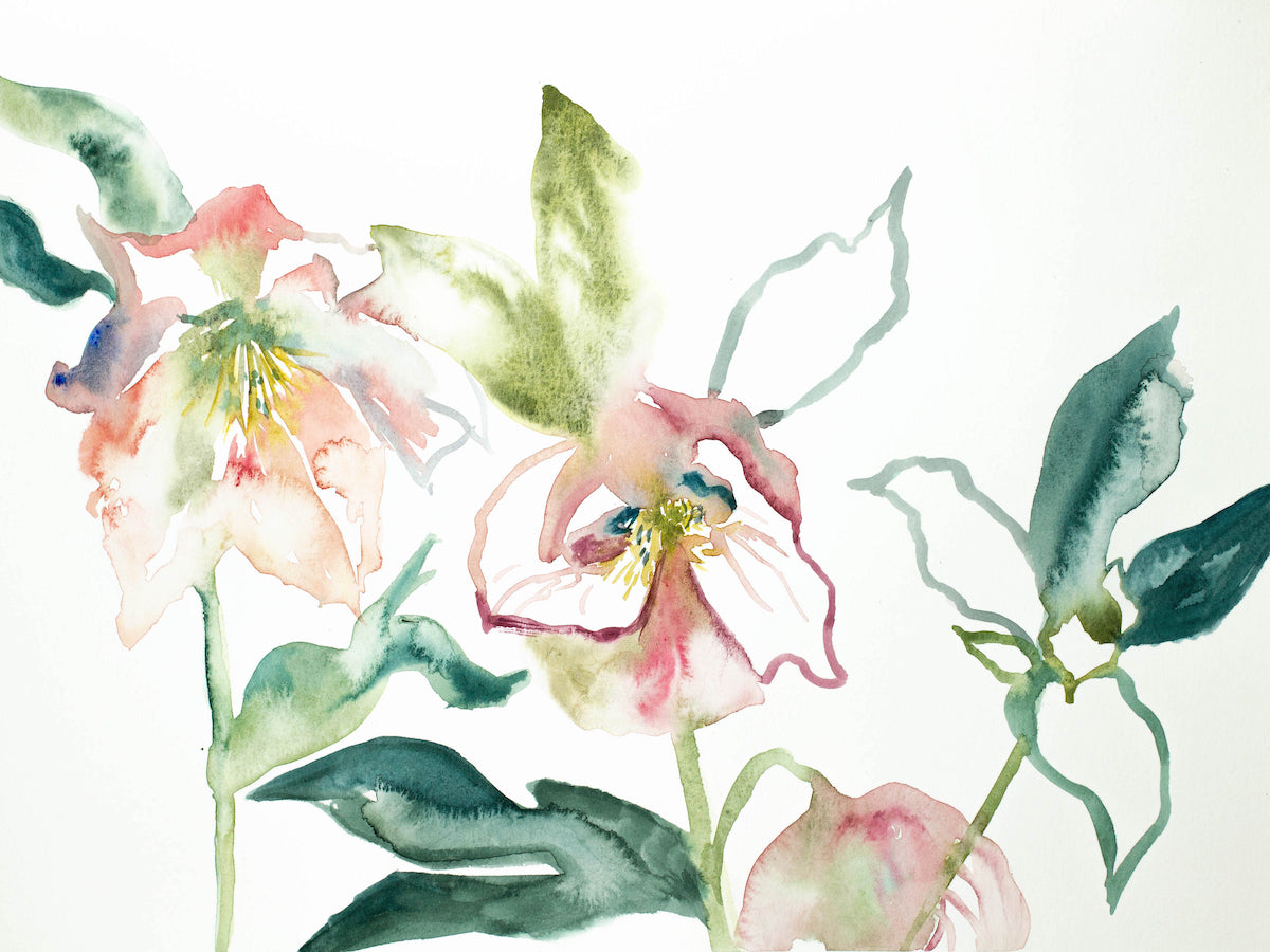 Garden Study - Original Watercolor Floral Painting – Elizabeth Becker Art