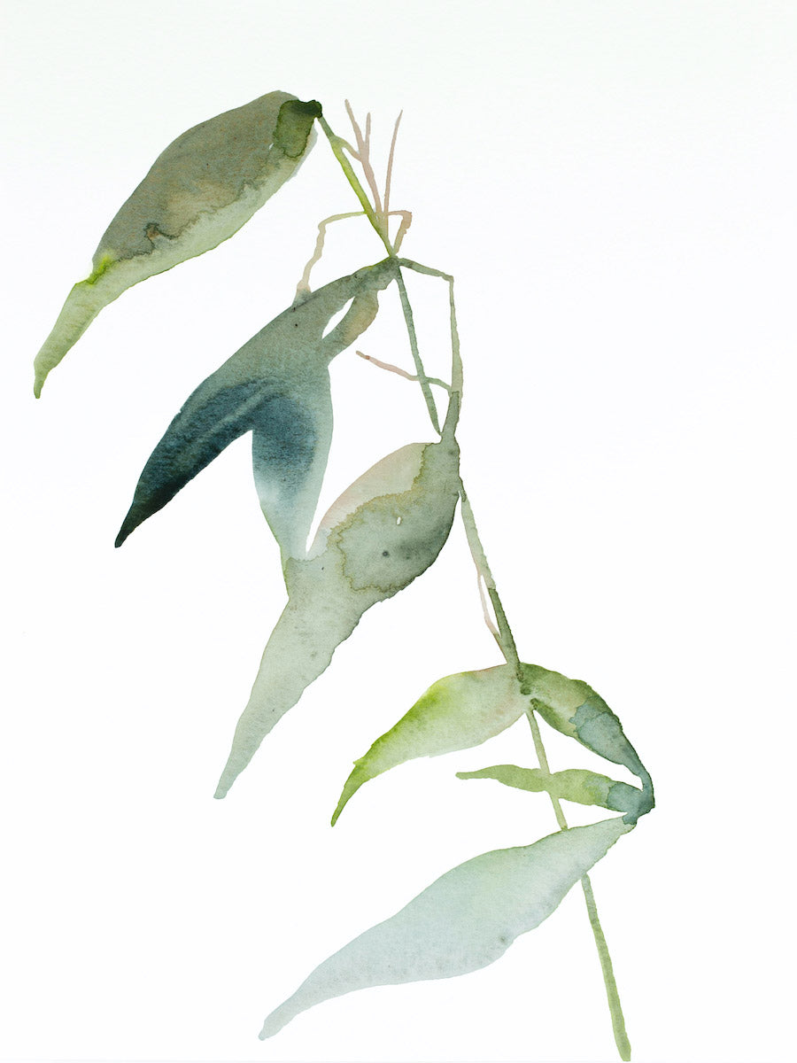 Grass Study - Original Watercolor Botanical Grass Painting – Elizabeth ...