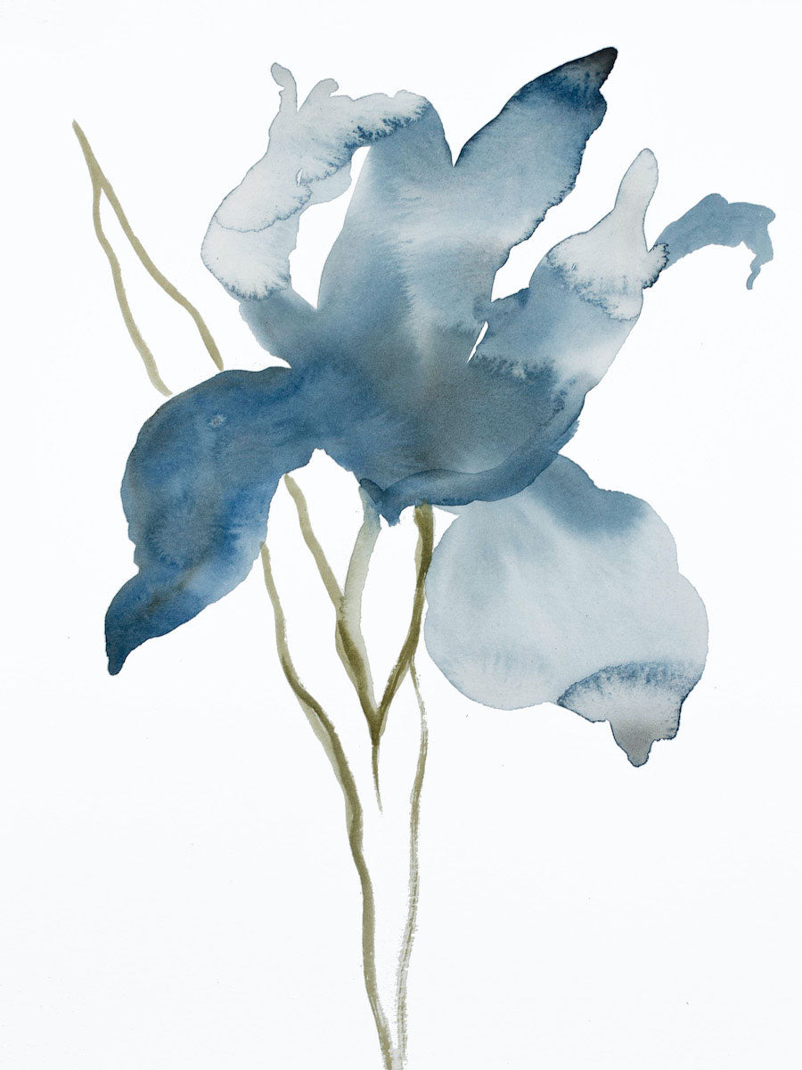 Iris No. 149 - Original Watercolor Floral Painting – Elizabeth Becker Art