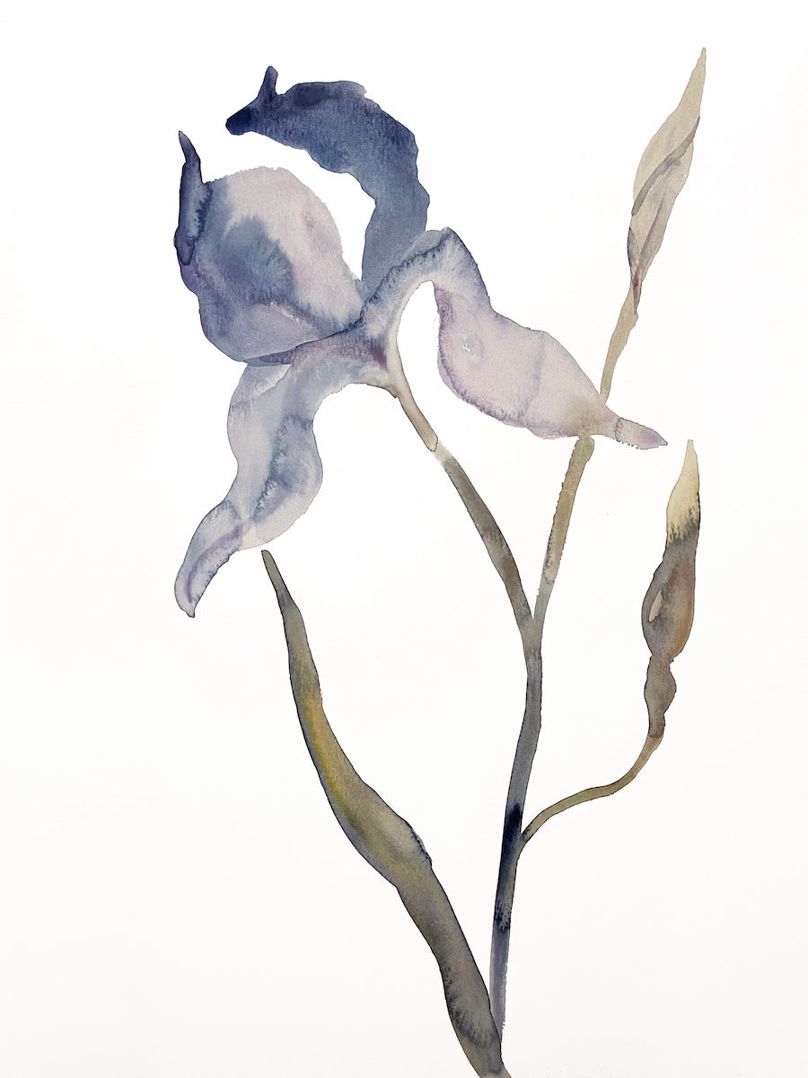 Iris No. 169 - Original Watercolor Floral Painting – Elizabeth Becker Art