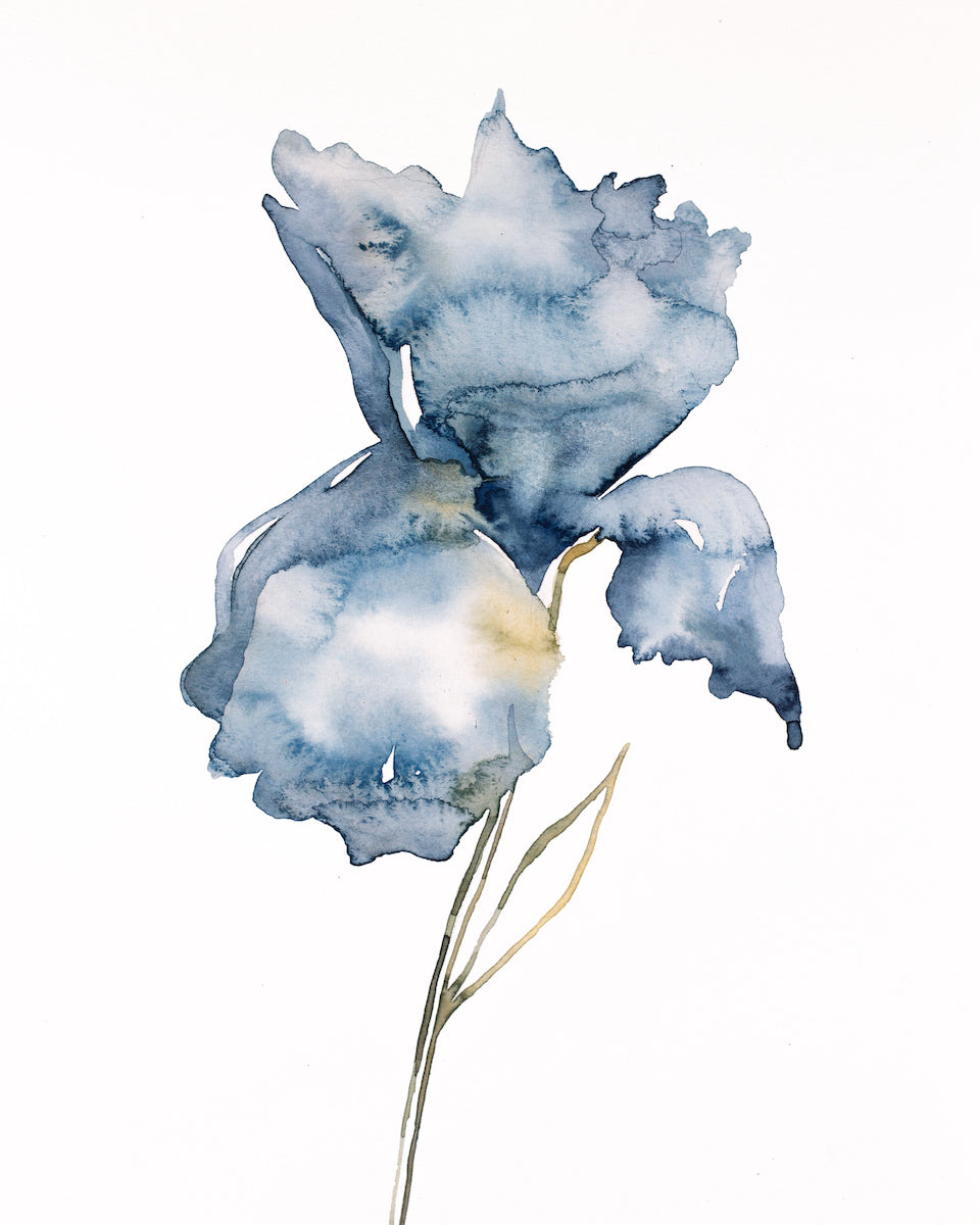 Iris No. 181 - Original Watercolor Floral Painting – Elizabeth Becker Art