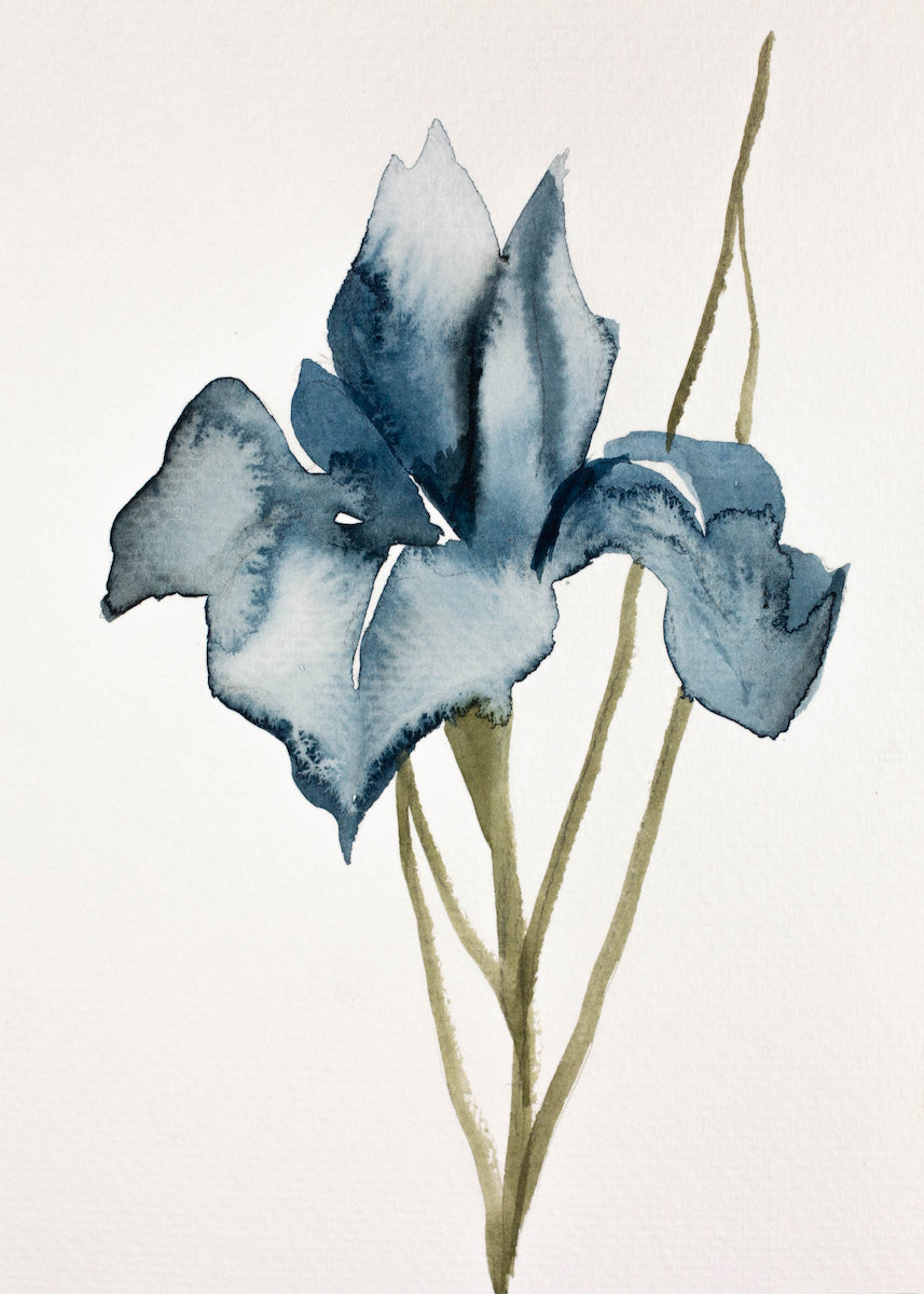 Iris No. 183 - Original Watercolor Botanical Flower Painting ...