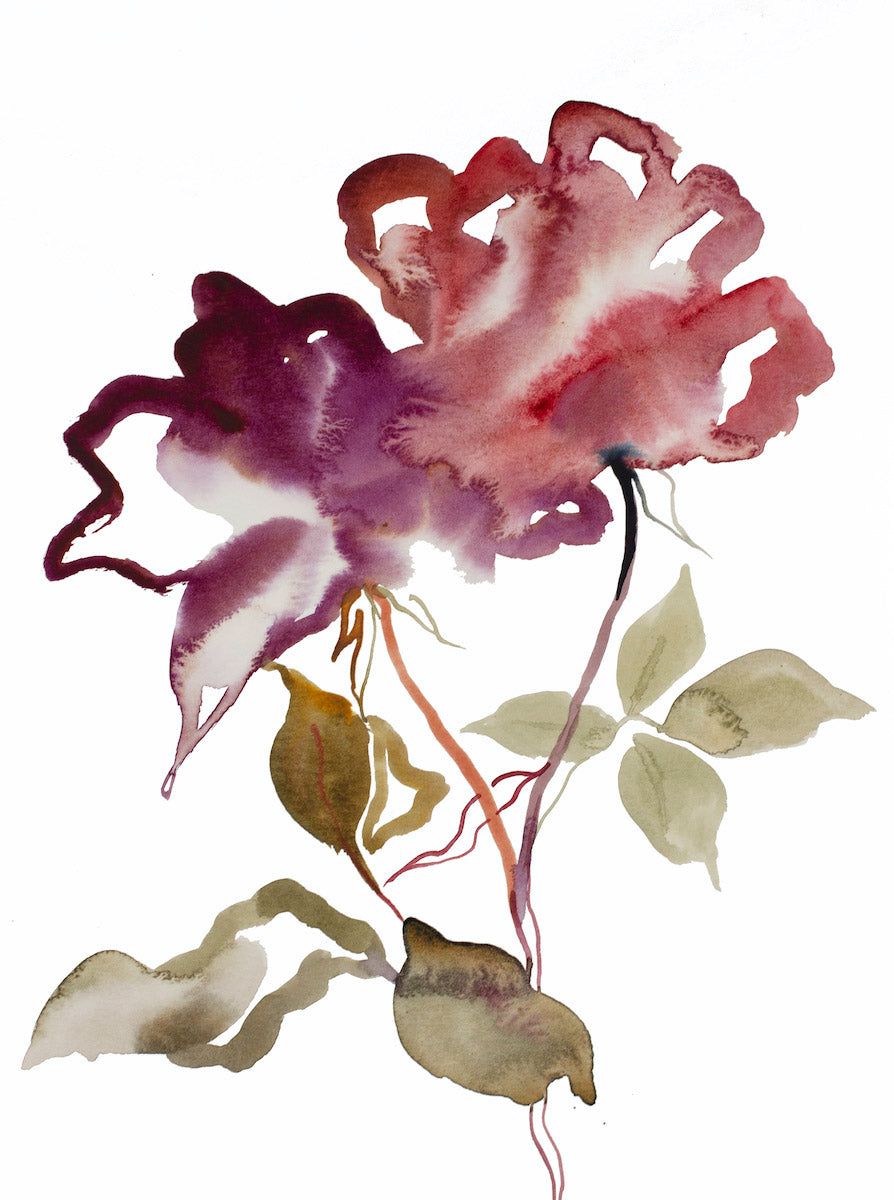 Rose Study No. 52 - Original Watercolor Botanical Flower Painting ...